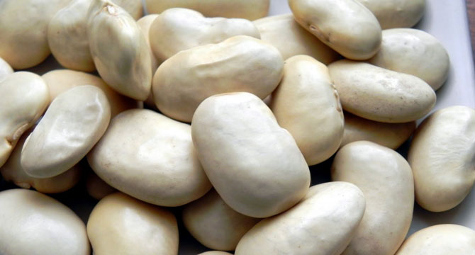 Turismo de Zamora , Turismo Sostenible