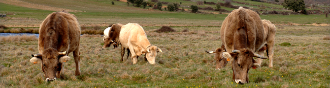 Turismo de Zamora , Turismo Sostenible